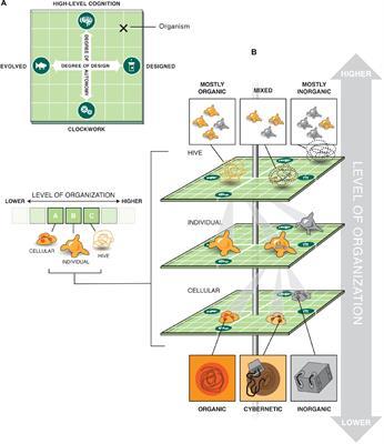 Living Things Are Not (20th Century) Machines: Updating Mechanism ...